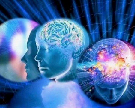 Earth Transformation | Openhand